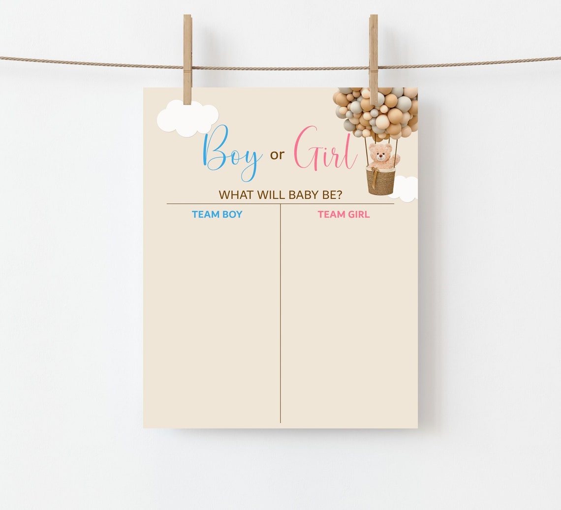 Bear Gender Reveal Voting Board Guess Boy or Girl Game Hot Air - Etsy