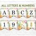 Printable Banner Alphabet A-Z & Numbers Luau Hawaiian Tropical Bridal ...