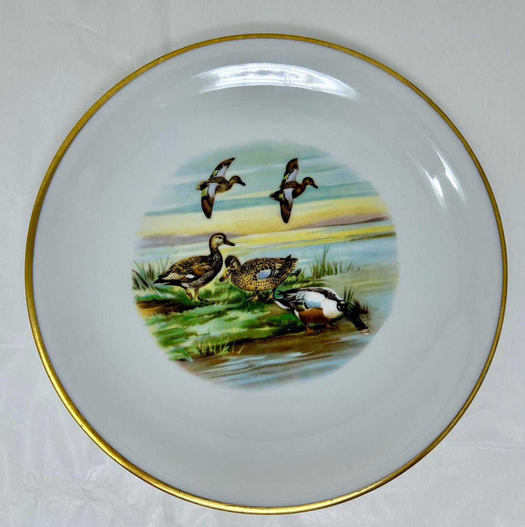 Vintage Zeh Scherzer Bavaria Porcelain Plate – Flying Ducks Wildlife ...