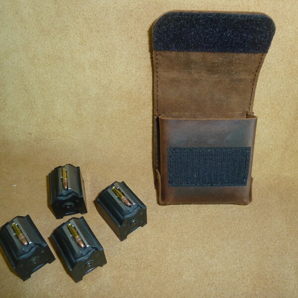 10 22 Magazine Case - Etsy