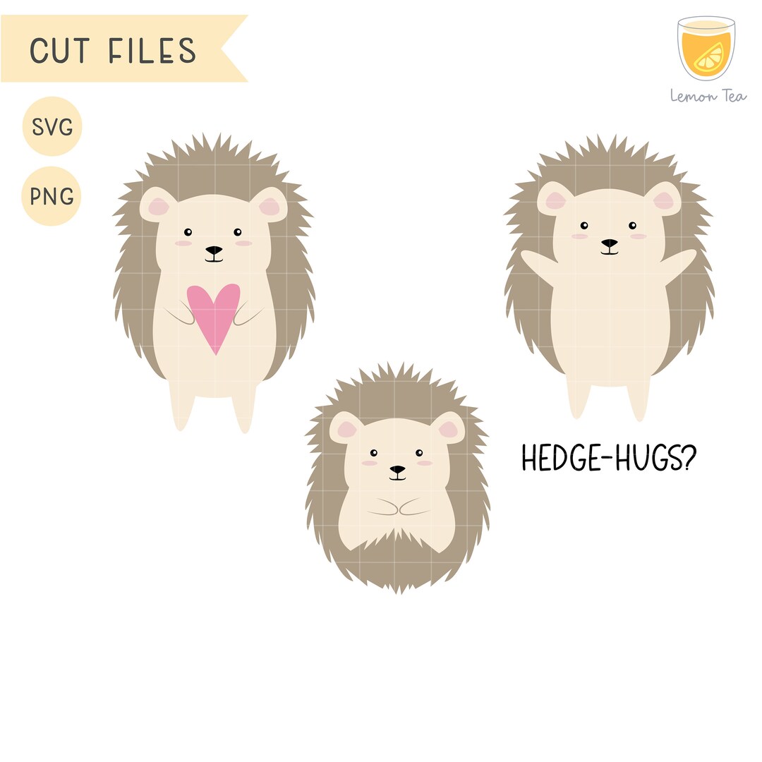 Cute Hedgehog SVG, Hedgehog Clipart, Hedgehog PNG, Hedgehog Vector ...