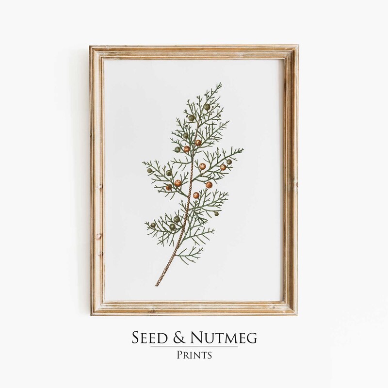 Juniper Tree - Etsy