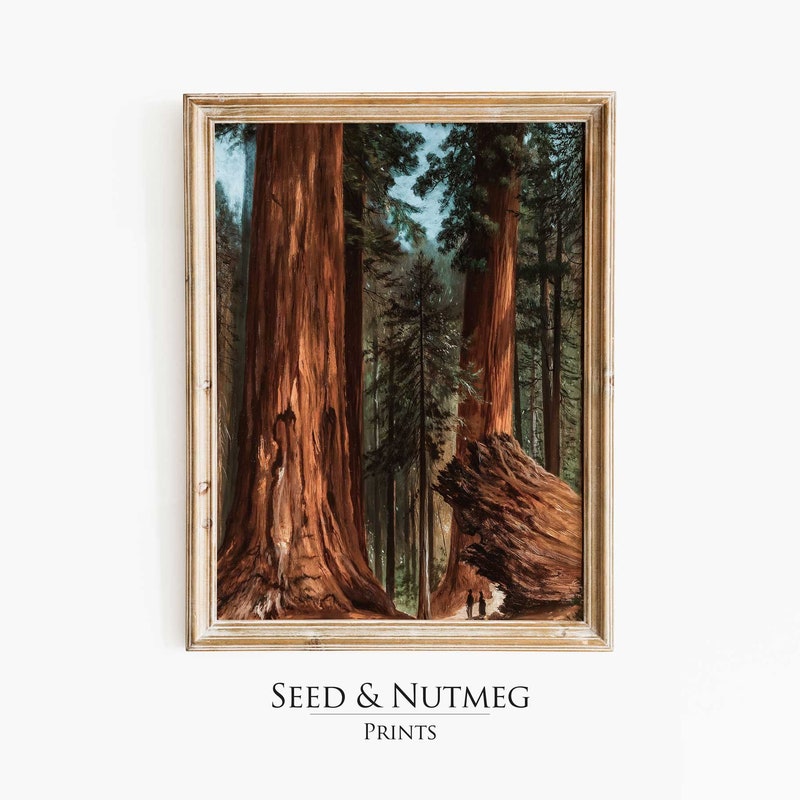 Redwood Print - Etsy