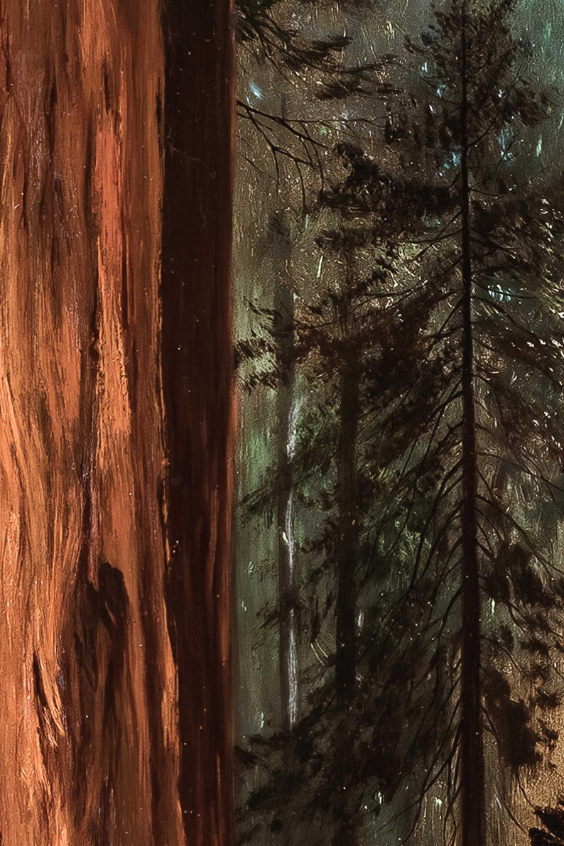 California Redwoods Forest Art Prints Vintage Landscape Wall Decor ...