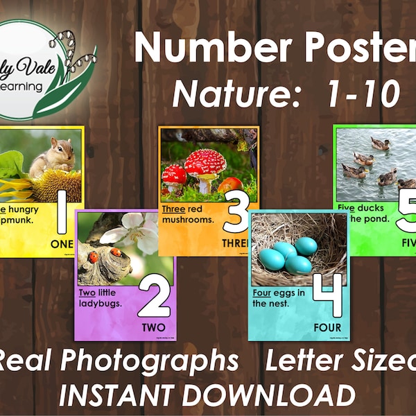 Math in Nature Poster - Etsy