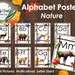 Alphabet Poster, Animal Alphabet, Montessori Classroom, Alphabet Chart ...