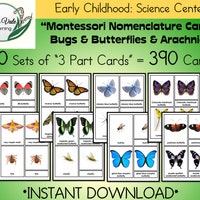 Flashcards, Printable Flashcard, Jungle Animal Card, Montessori ...