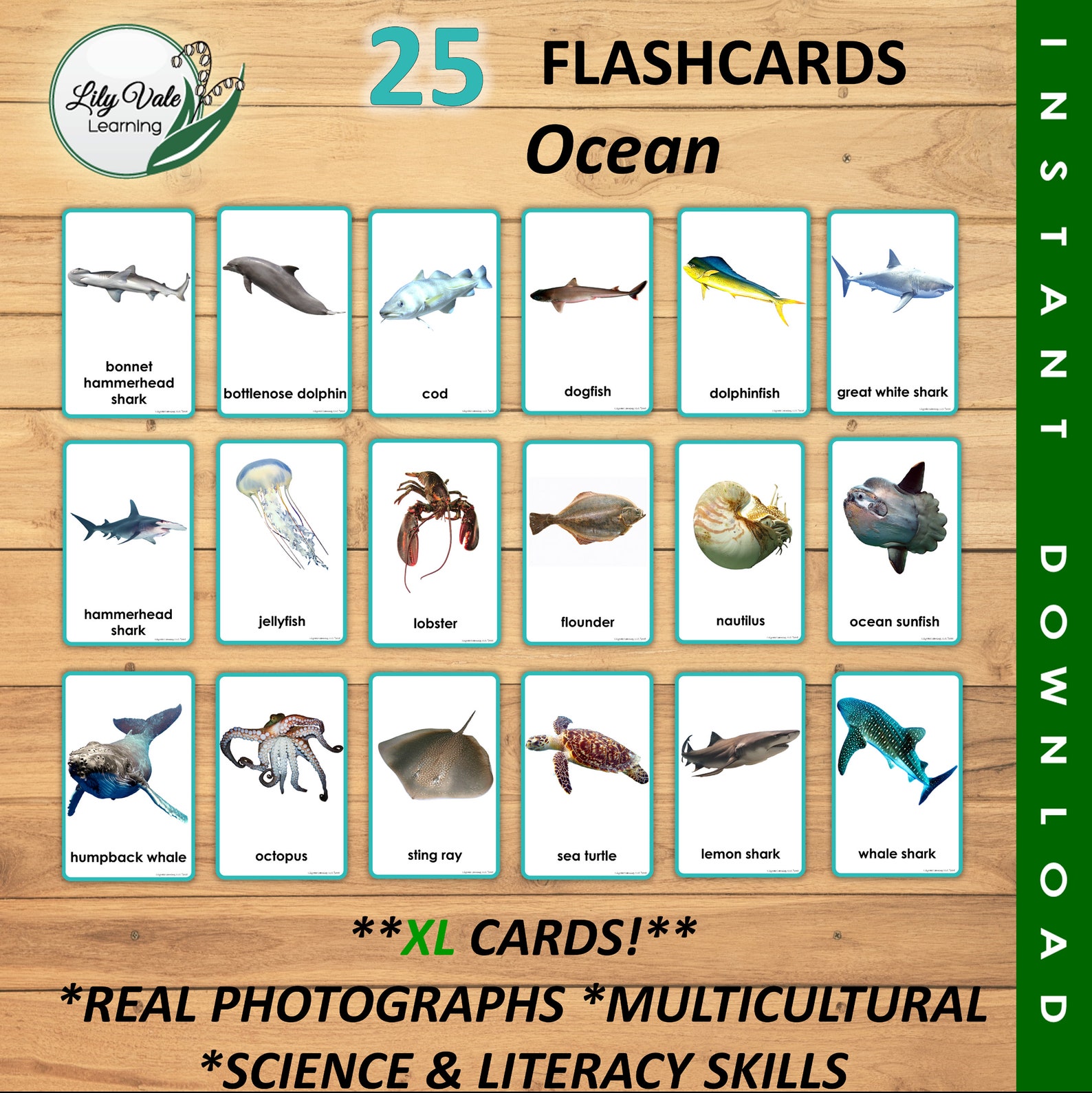 Printable Flashcards, Ocean Animal Printable, OCEAN ANIMAL FLASHCARDS ...