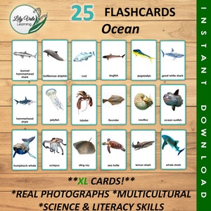 Printable Flashcards, Ocean Animal Printable, OCEAN ANIMAL FLASHCARDS ...