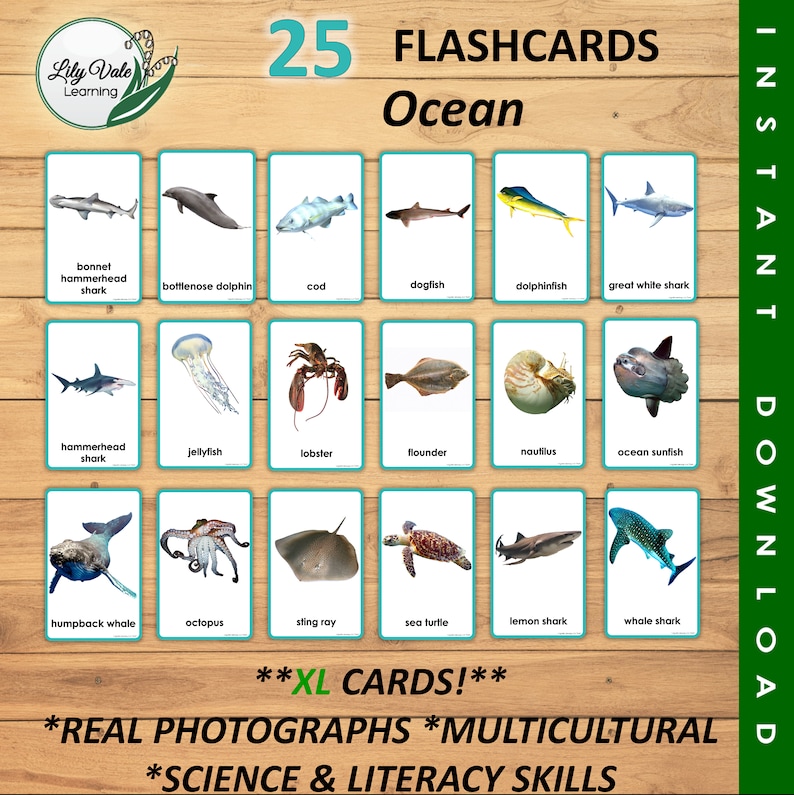 Printable Flashcards, Ocean Animal Printable, OCEAN ANIMAL FLASHCARDS ...
