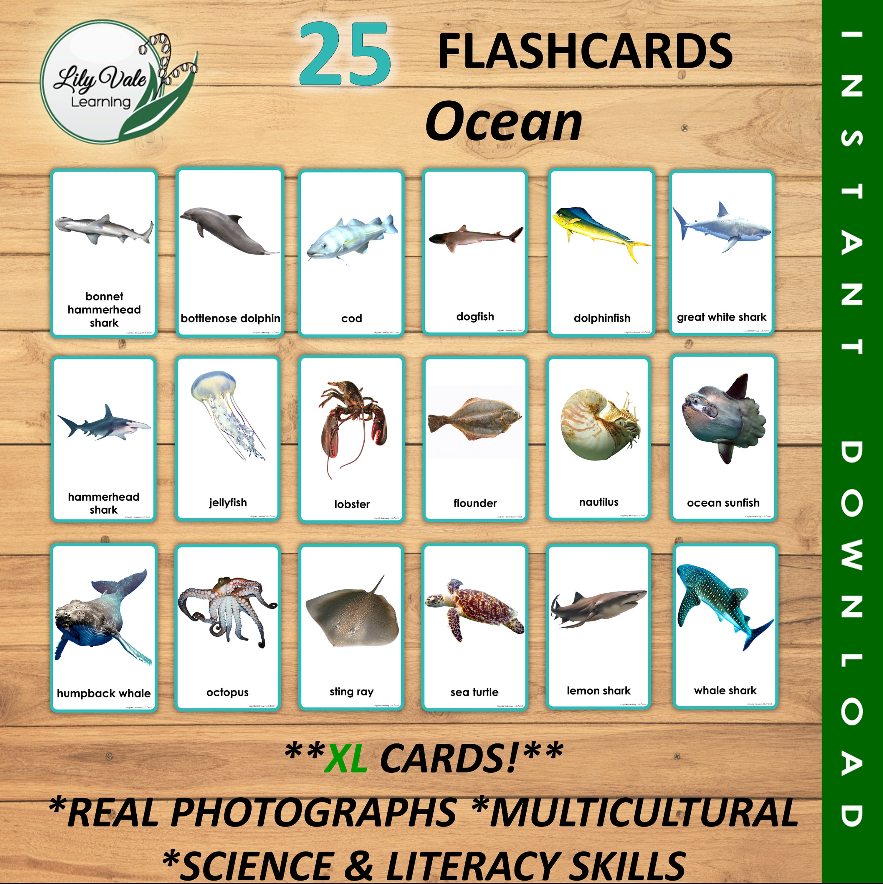 Printable Flashcards, Ocean Animal Printable, OCEAN ANIMAL FLASHCARDS ...