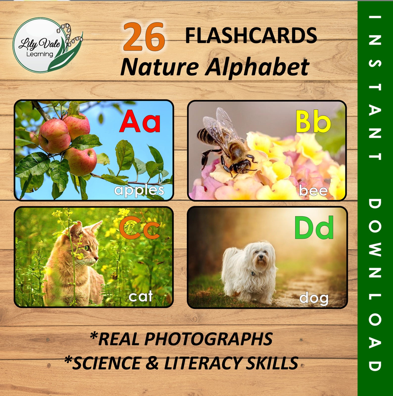 Printable Flashcards, Alphabet Flashcards, Nature Alphabet, ABC ...