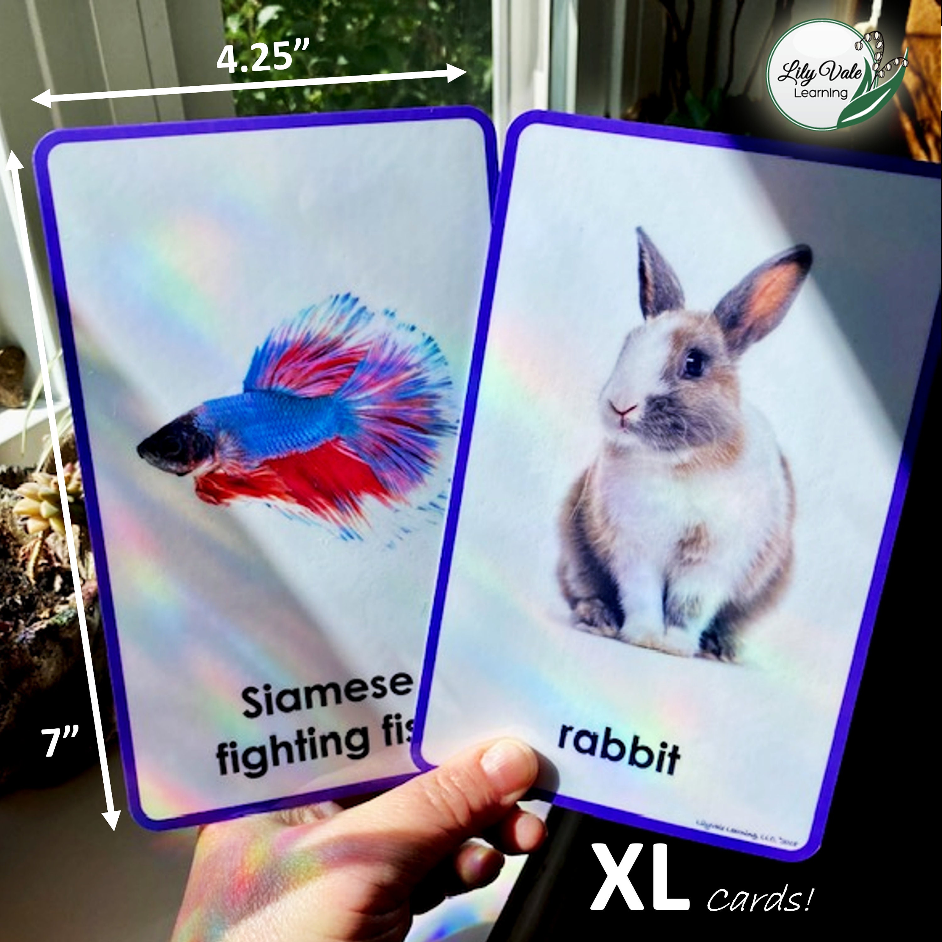 Flashcards, Printable Flashcards, Montessori Flashcards, Animal ...