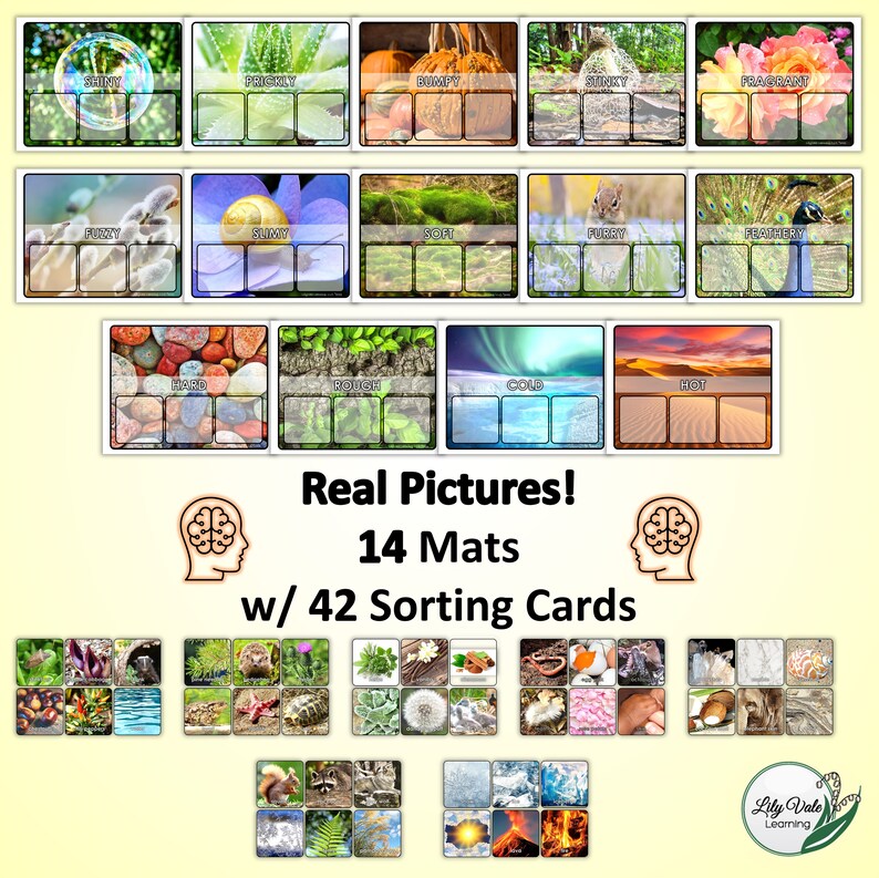 Flashcards for Kids, Sensory Play, Sensory Activity, Montessori Science ...