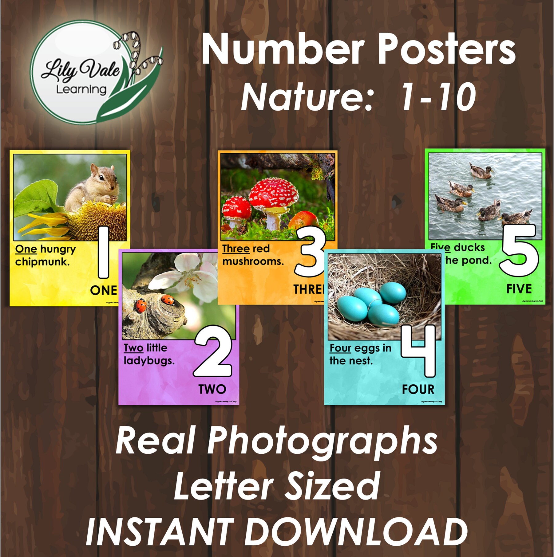 Number Posters, Number Learning, Preschool Math, Montessori Numbers ...