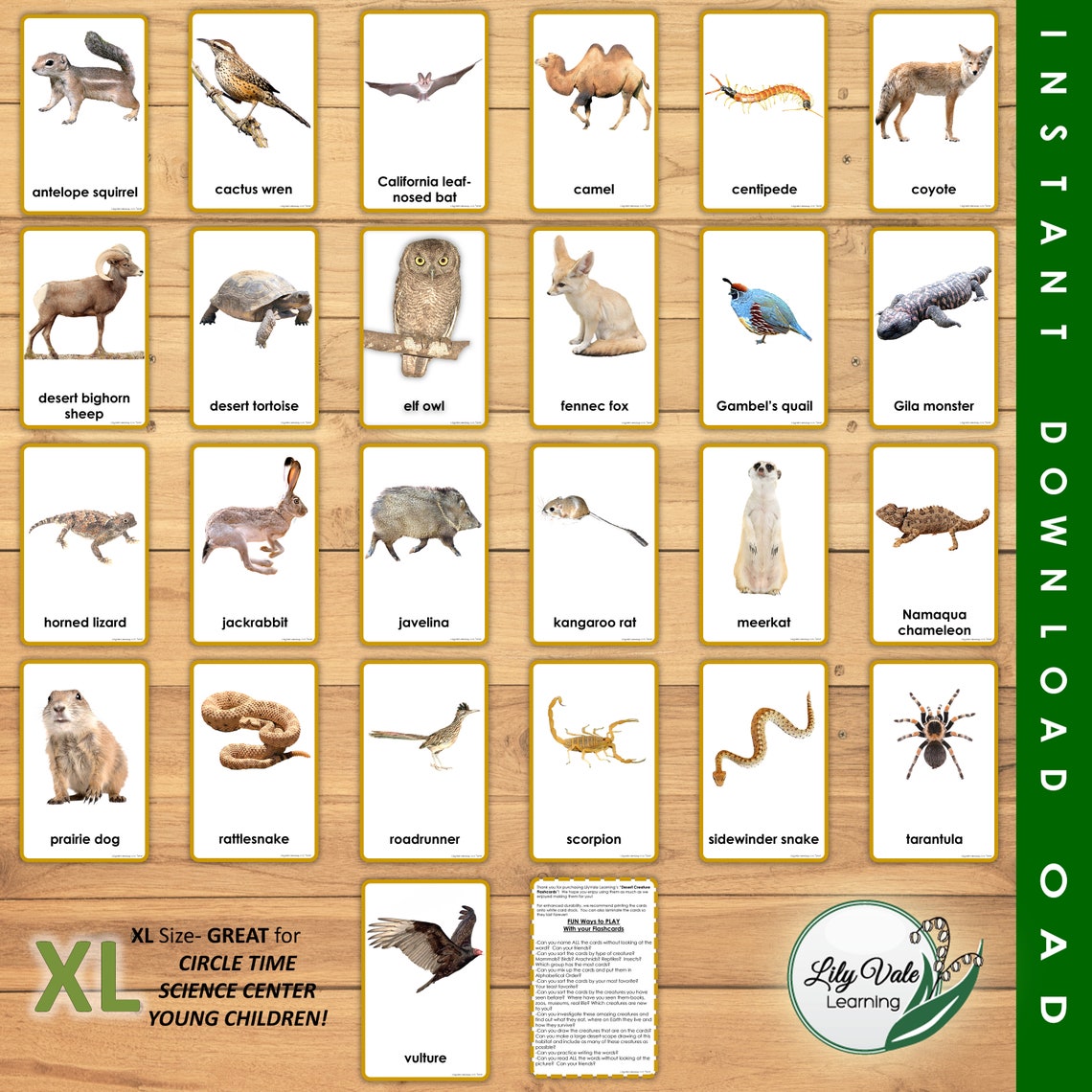 Flashcards, Printable Flashcard, Animal Learning Card, Desert Animal ...