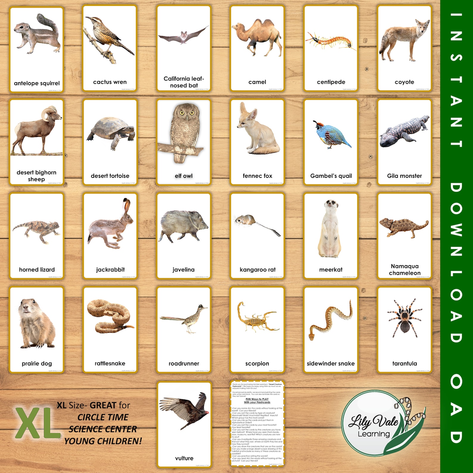 Flashcards, Printable Flashcard, Animal Learning Card, Desert Animal ...