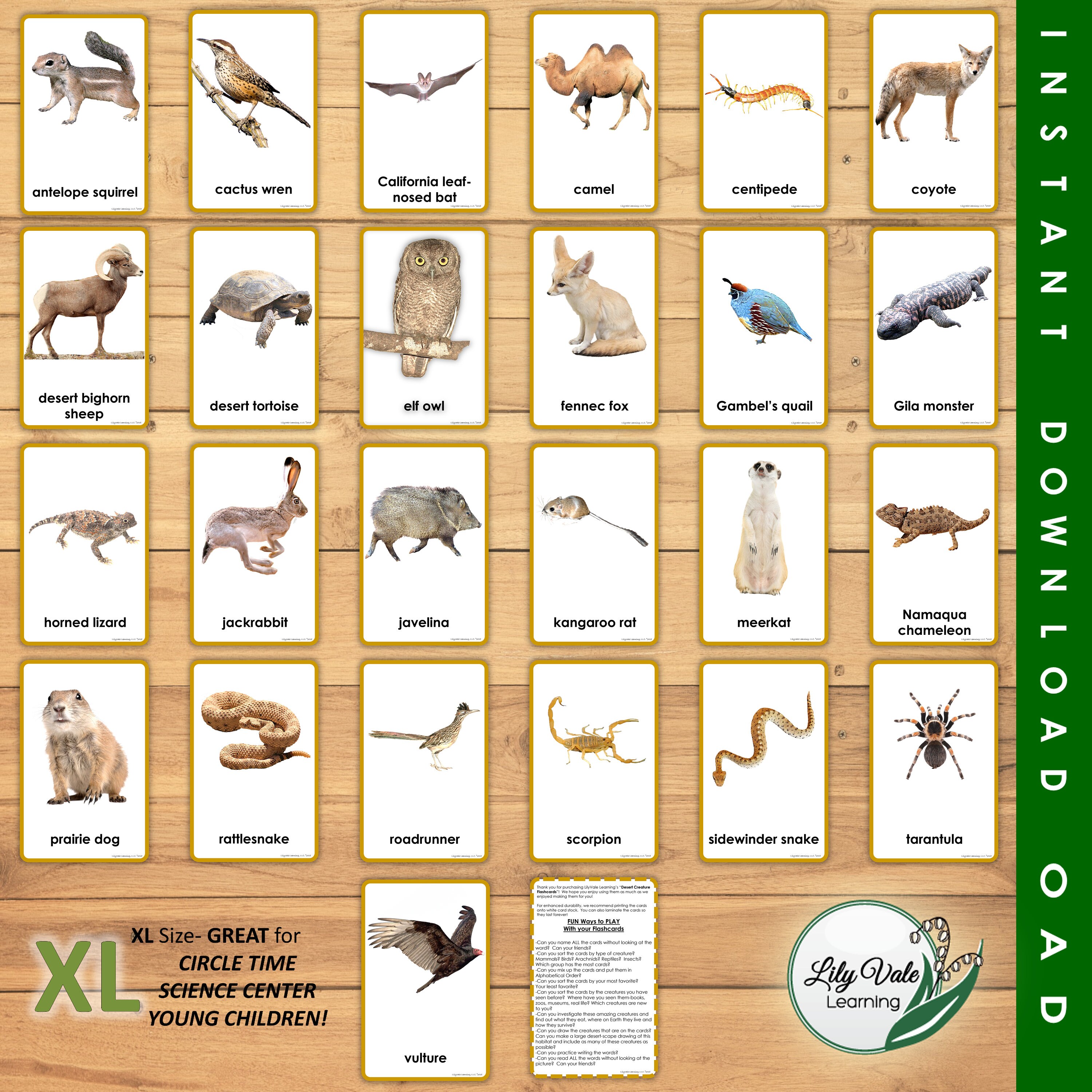 Flashcards, Printable Flashcard, Animal Learning Card, Desert Animal ...