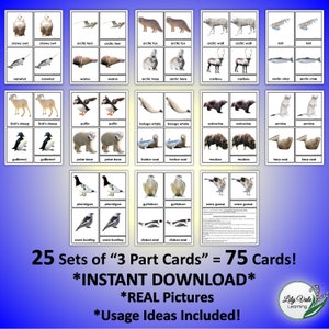 Printable Flashcards, Polar Animals, Montessori Flashcards, ARCTIC ...