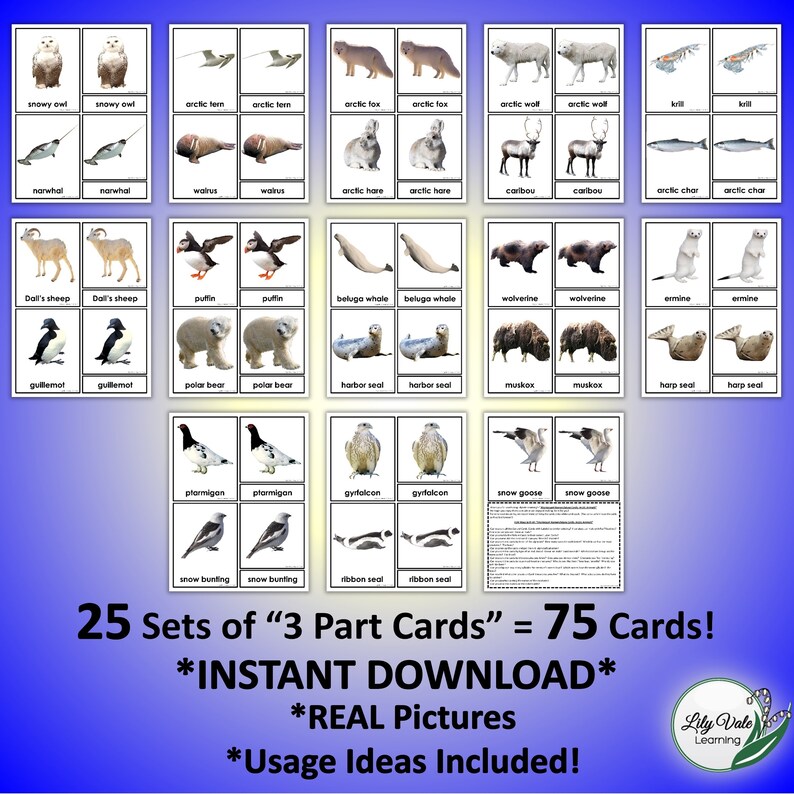 Printable Flashcards, Polar Animals, Montessori Flashcards, ARCTIC ...
