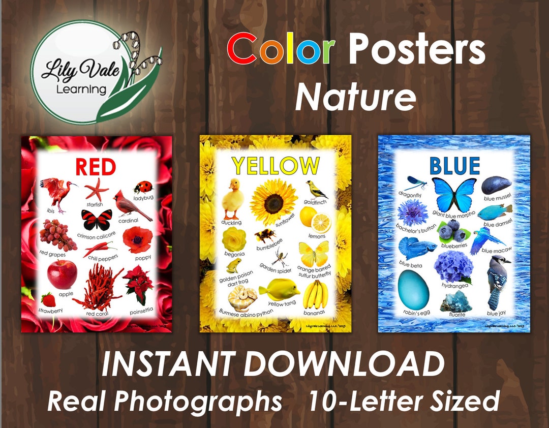 Color Learning, Montessori Classroom Decor, Nature Color Posters ...