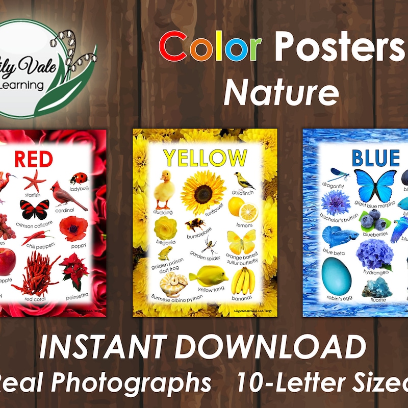 Nature Poster - Etsy