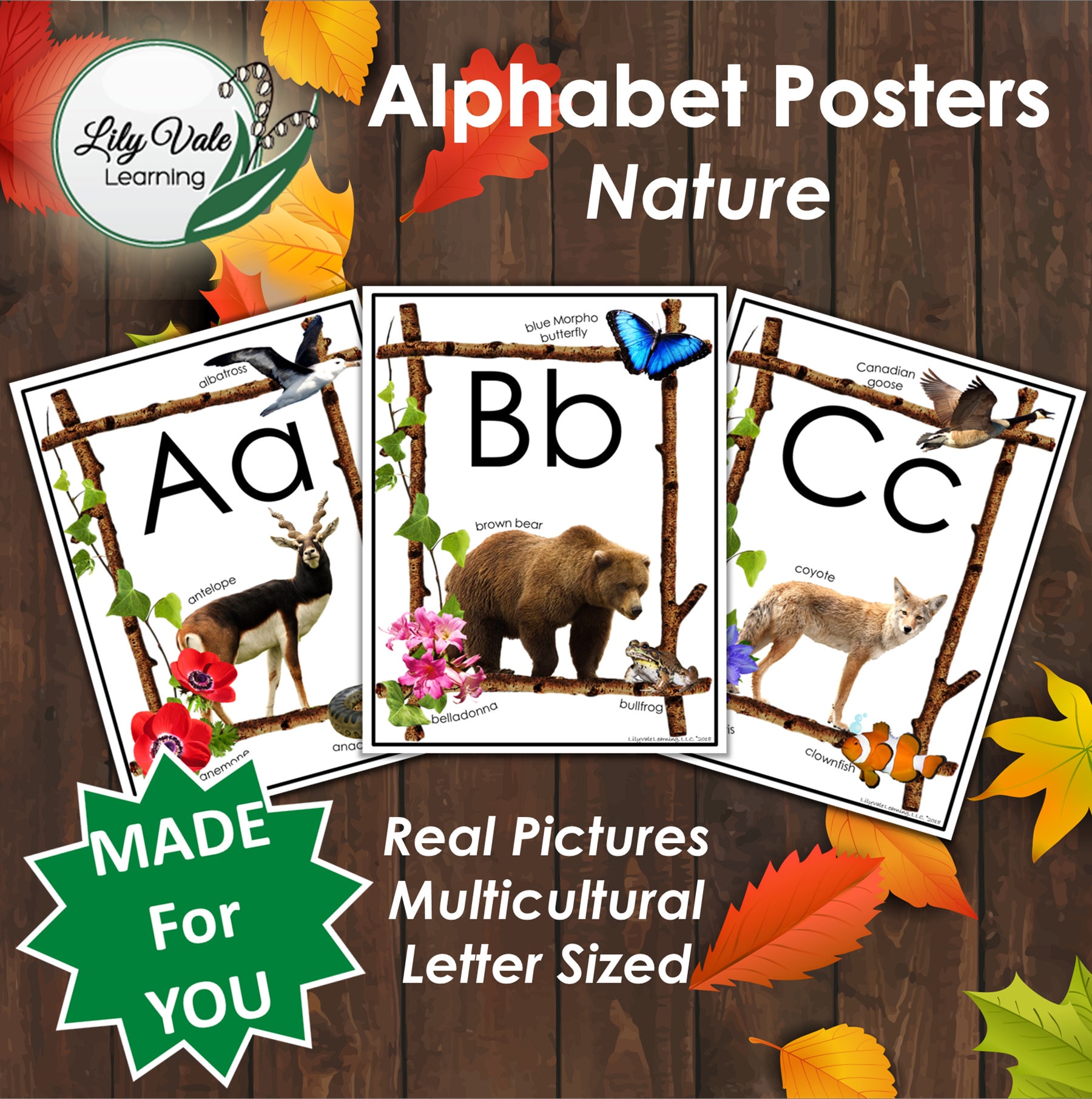 Alphabet Poster, Animal Alphabet, Montessori Classroom, Alphabet Chart ...