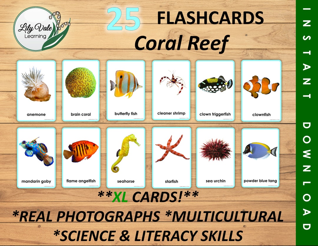 Flashcards, Printable Flashcards, Montessori Flashcard, Ocean Flashcard ...