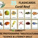 Flashcards, Printable Flashcards, Montessori Flashcard, Ocean Flashcard ...
