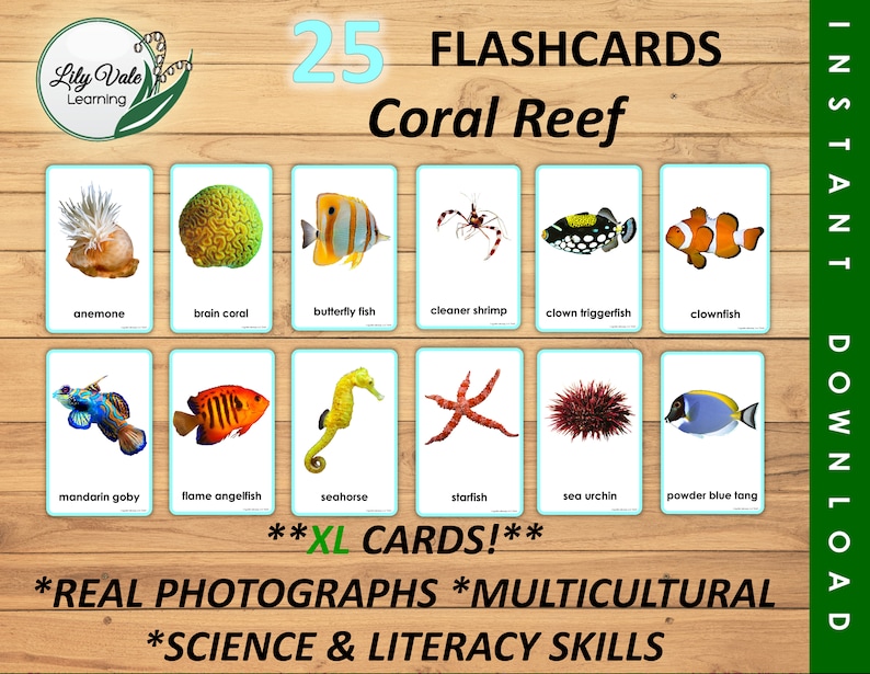 Flashcards, Printable Flashcards, Montessori Flashcard, Ocean Flashcard ...