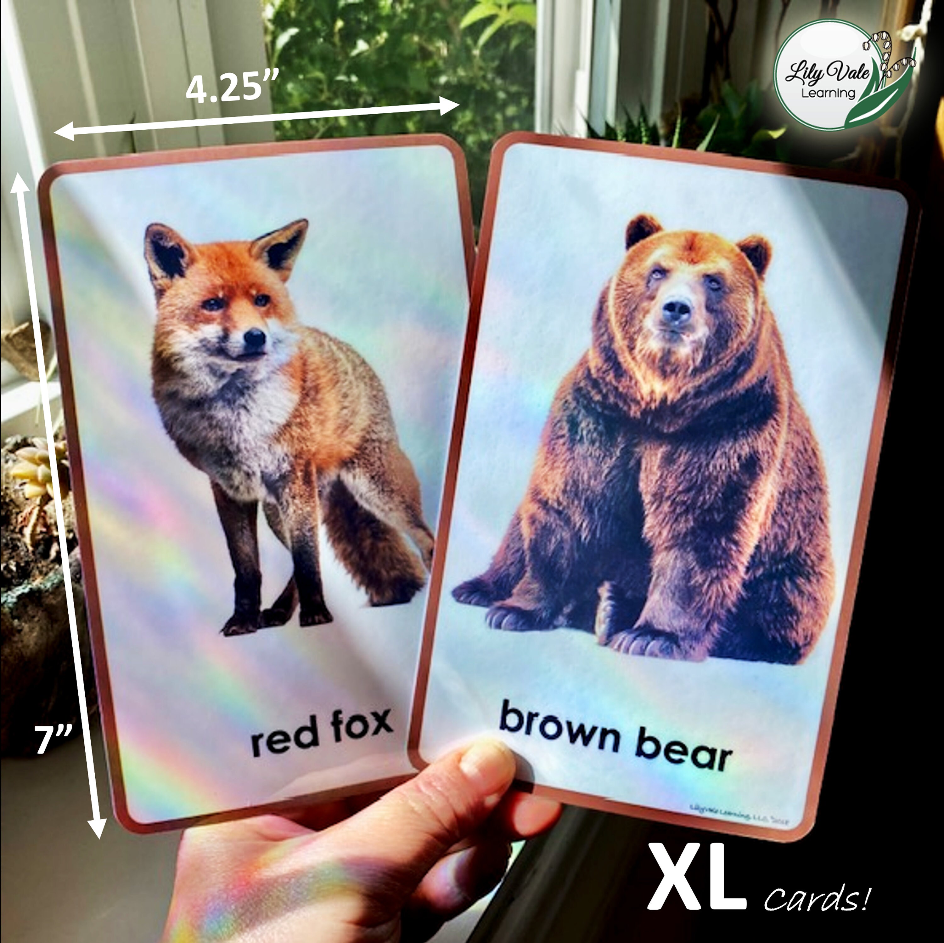 Woodland Animal Printable, Forest Animal Cards, Animal Learning Cards ...