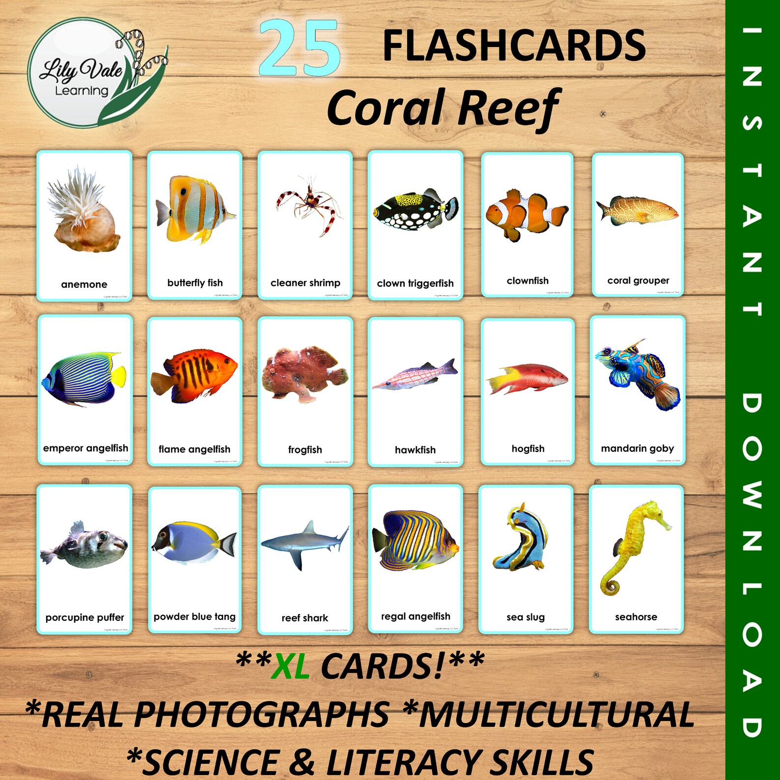 Flashcards, Printable Flashcards, Montessori Flashcard, Ocean Flashcard ...