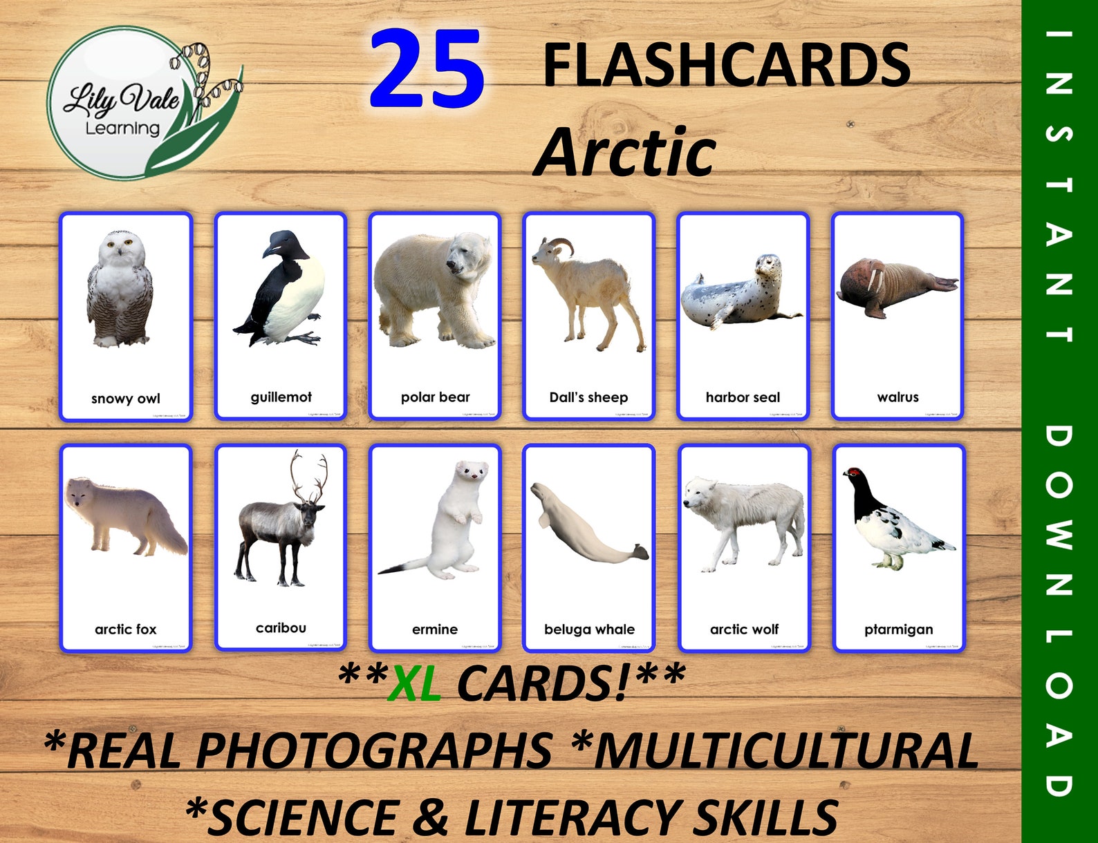 Polar Animals, Printable Flashcards, Arctic Animals, Montessori ...