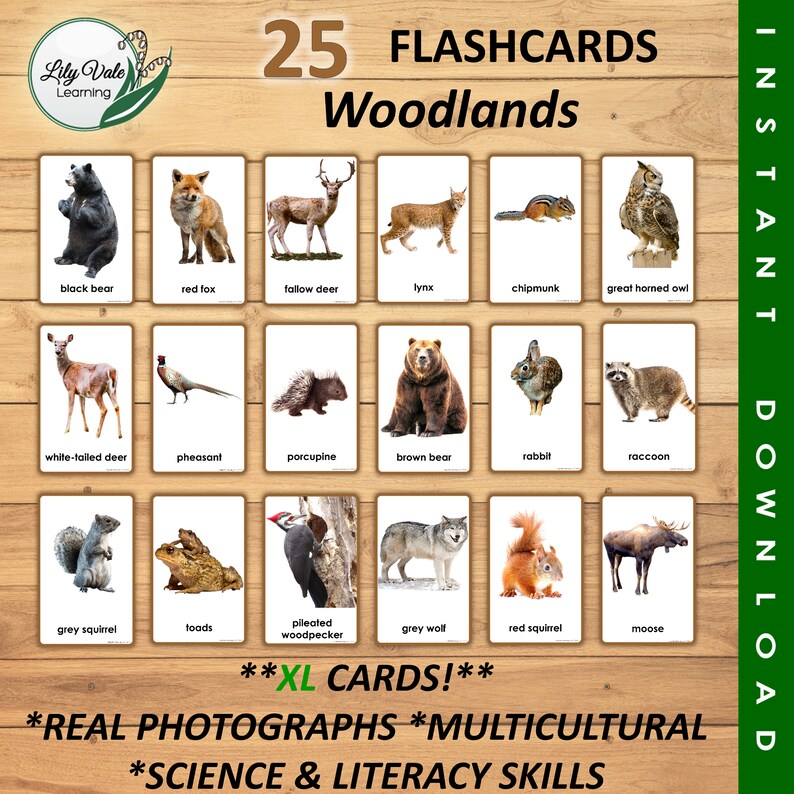 Woodland Animal Printable, Forest Animal Cards, Animal Learning Cards ...