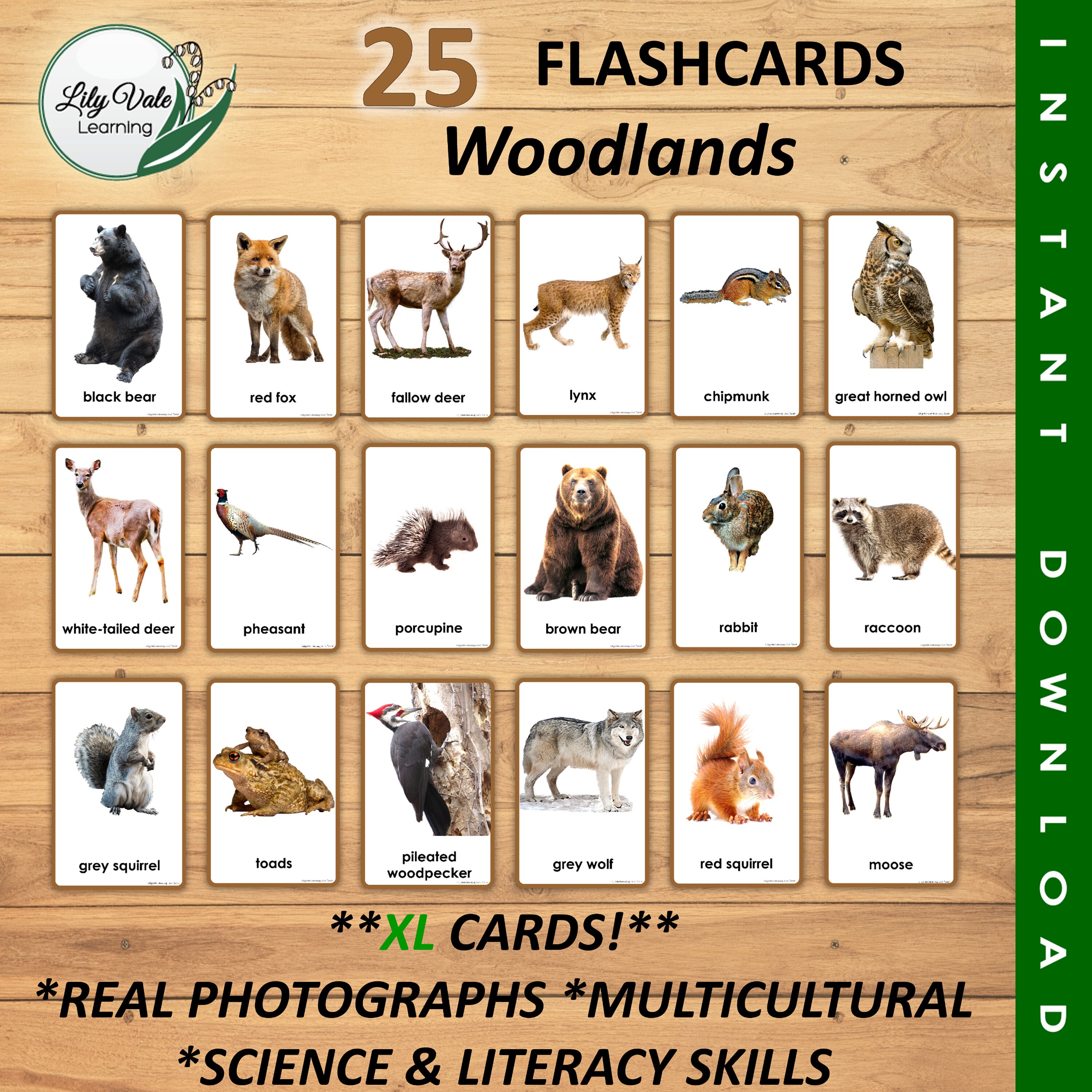 Woodland Animal Printable, Forest Animal Cards, Animal Learning Cards ...