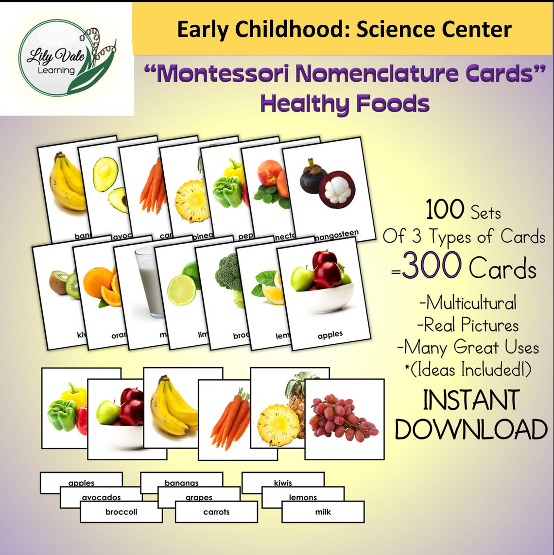 Montessori Materials, Montessori Flashcards, 3 Part Cards, Food ...