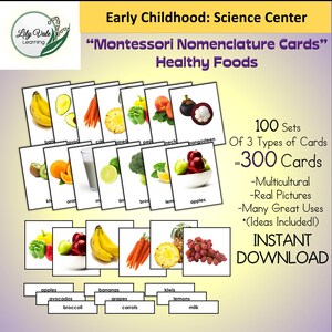 Montessori Materials, Montessori Flashcards, 3 Part Cards, Food ...