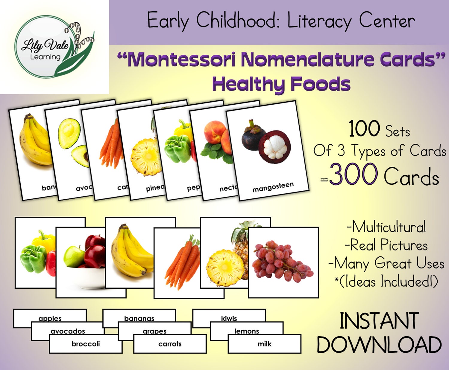 Montessori Materials, Montessori Flashcards, 3 Part Cards, Food ...