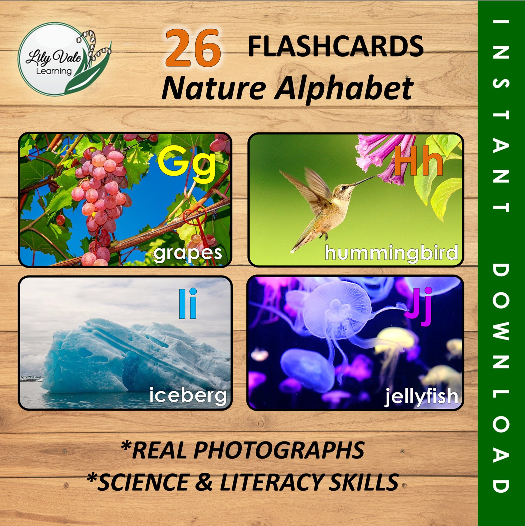 Printable Flashcards, Alphabet Flashcards, Nature Alphabet, ABC ...