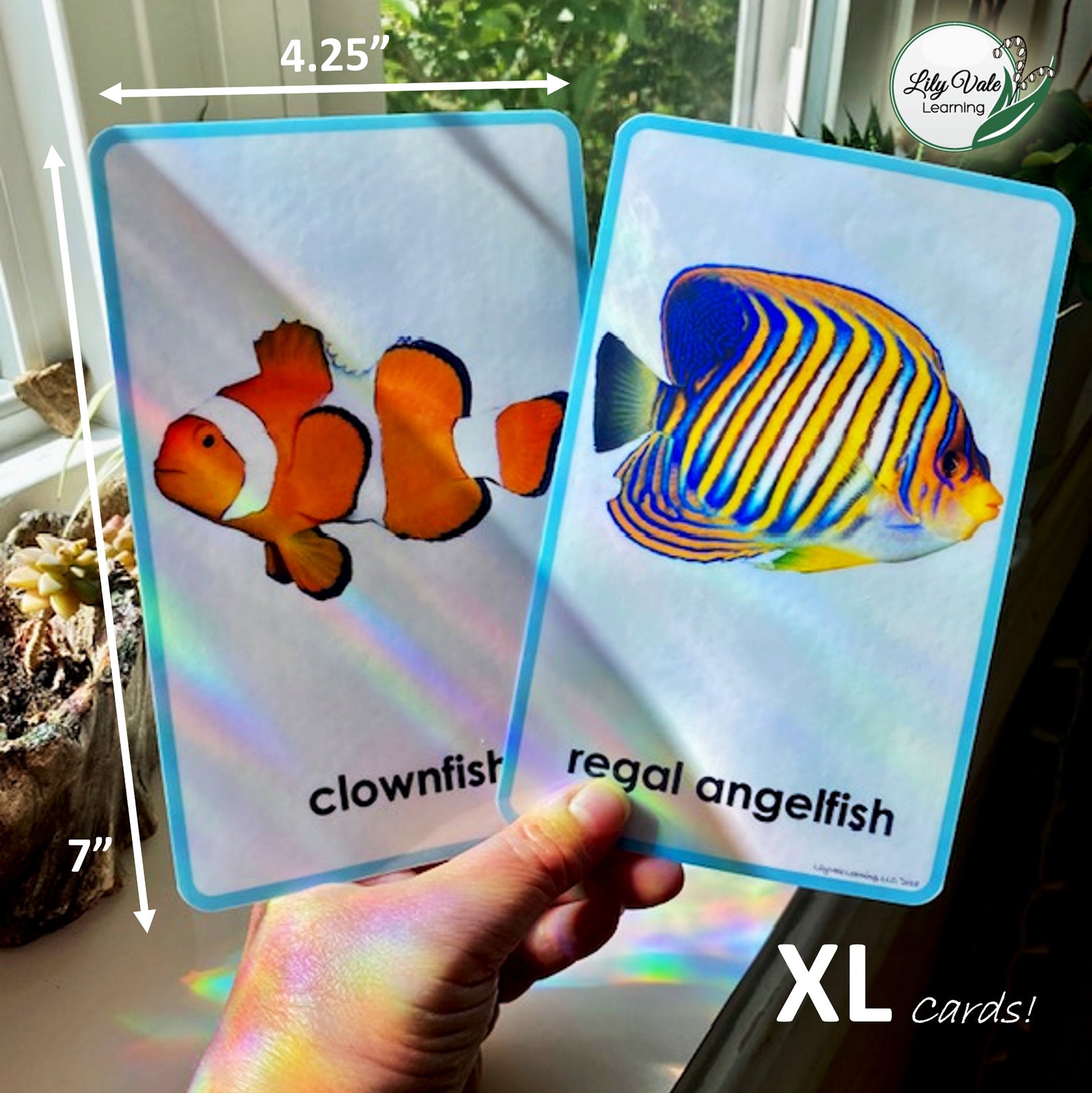 Flashcards, Printable Flashcards, Montessori Flashcard, Ocean Flashcard ...