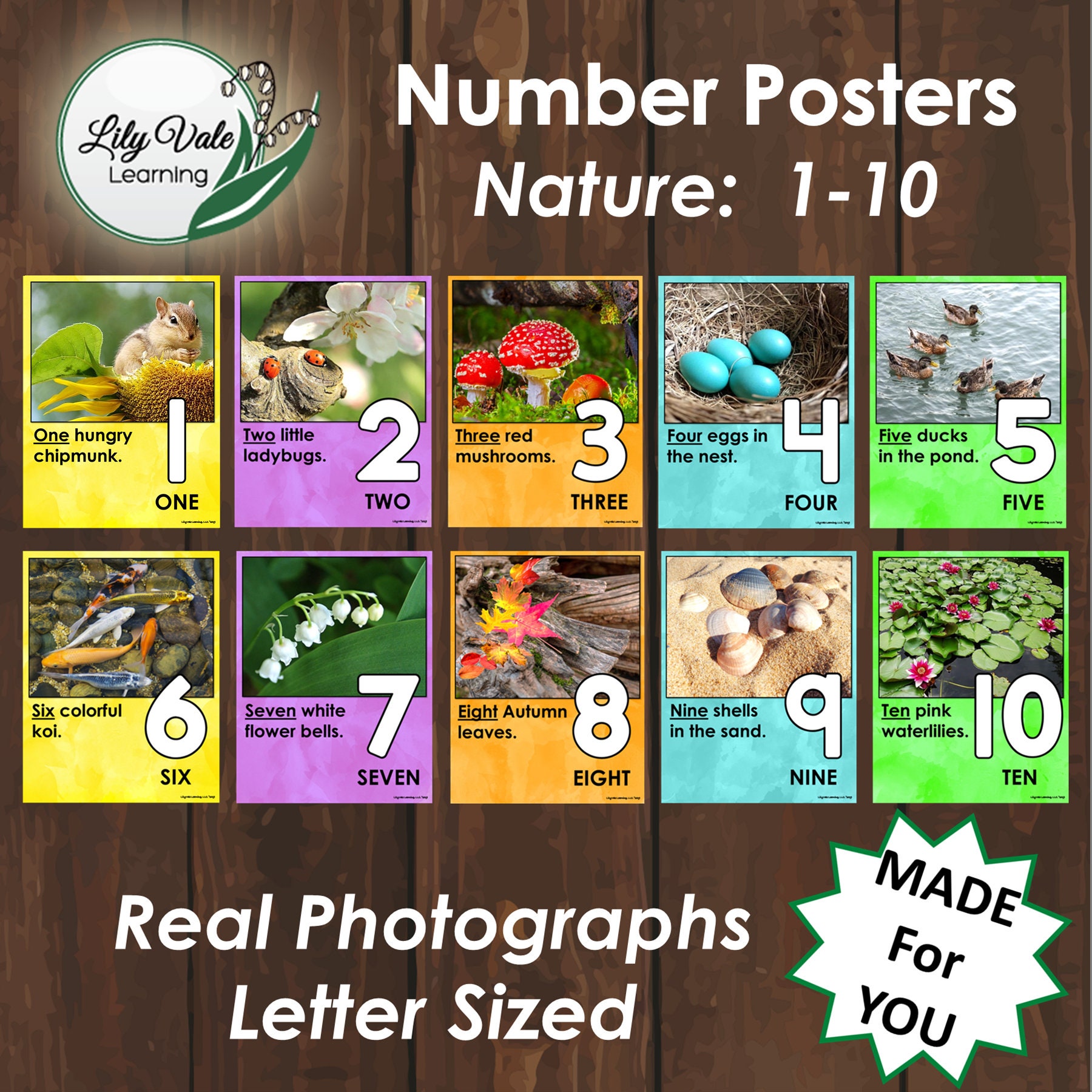 Number Poster, Number Learning, Preschool Math, Montessori Numbers ...