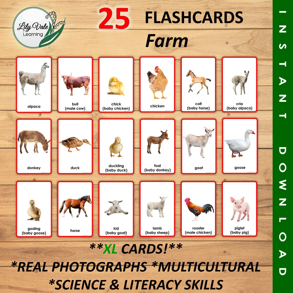 Farm Theme Printable, Farm Theme Cards, Animal Flashcards, Farm ...