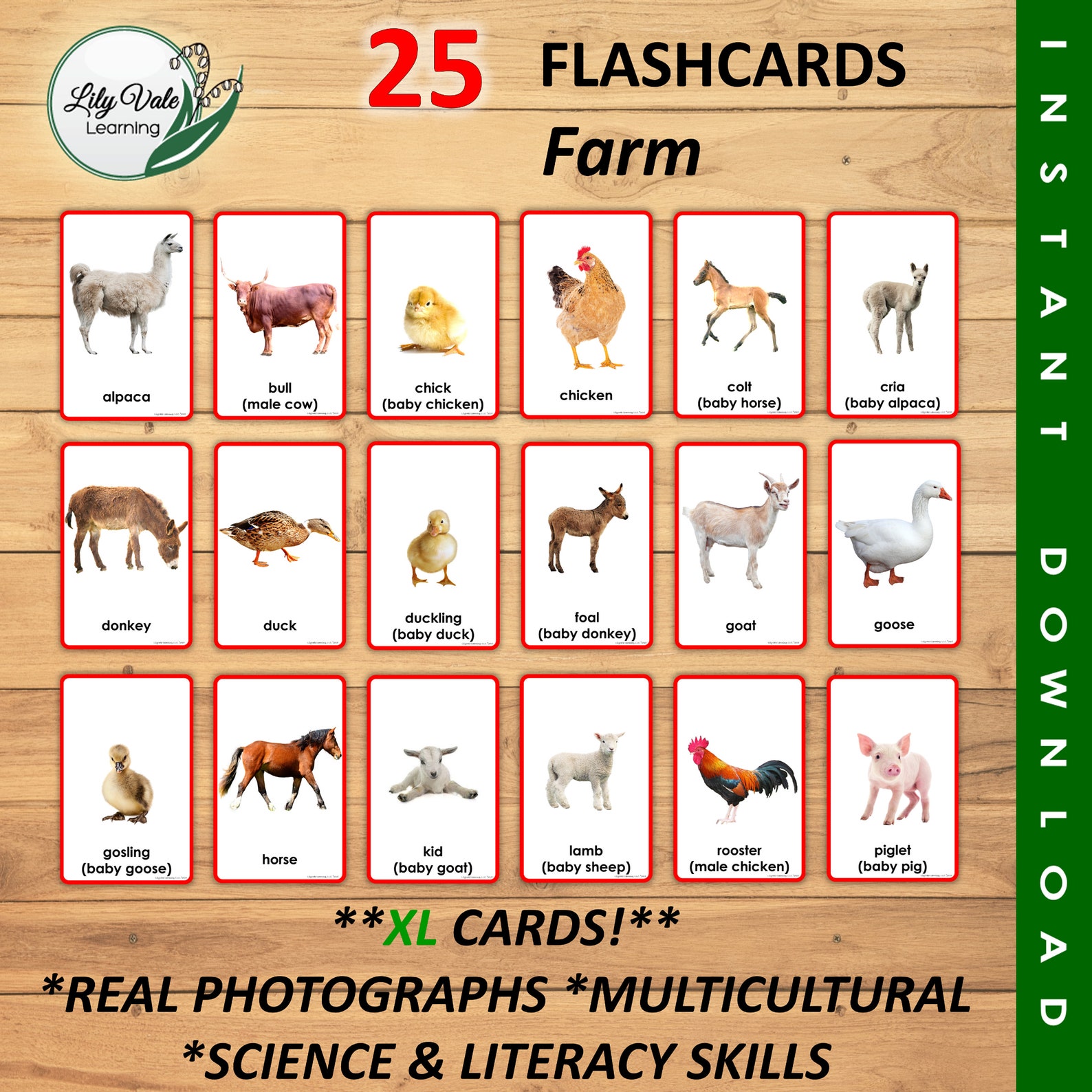 Farm Theme Printable, Farm Theme Cards, Animal Flashcards, Farm ...