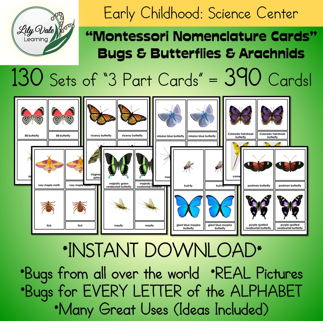 Montessori Materials, Montessori Flashcards, 3 Part Cards, Montessori ...