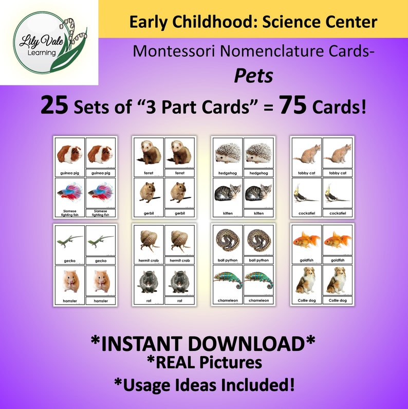 Printable Flashcards, Montessori Flashcards, Nomenclature Cards ...