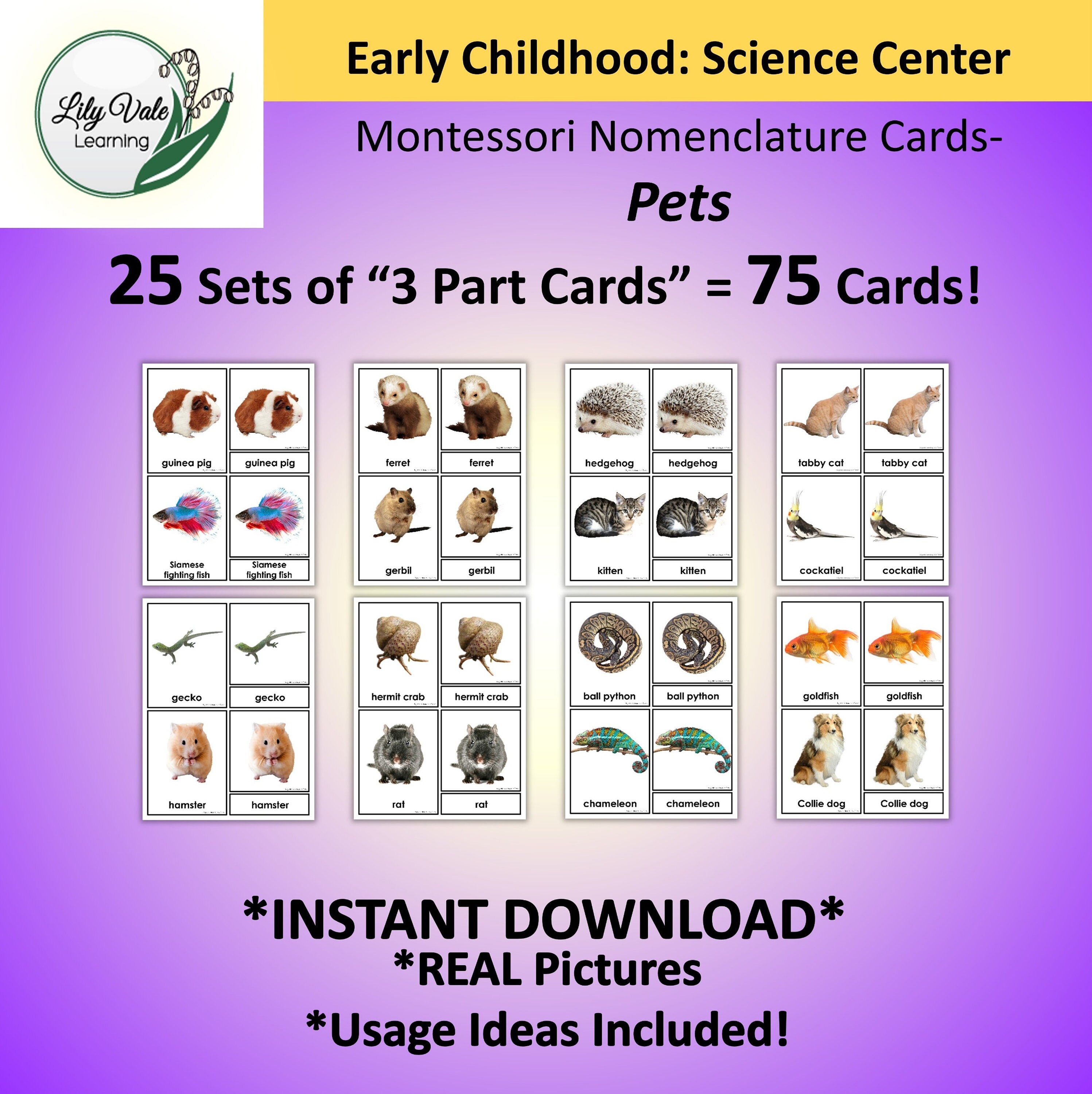 Printable Flashcards, Montessori Flashcards, Nomenclature Cards ...