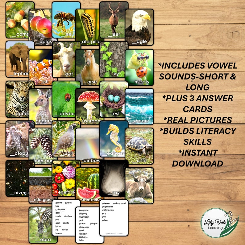Flashcards, Printable Flashcards, Flashcards for Kids, Montessori ...