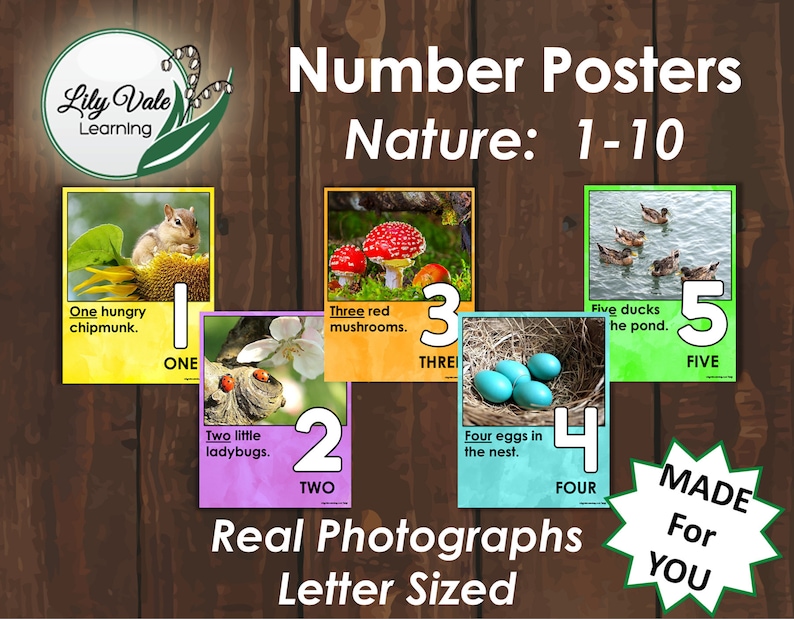 Number Poster, Number Learning, Preschool Math, Montessori Numbers ...