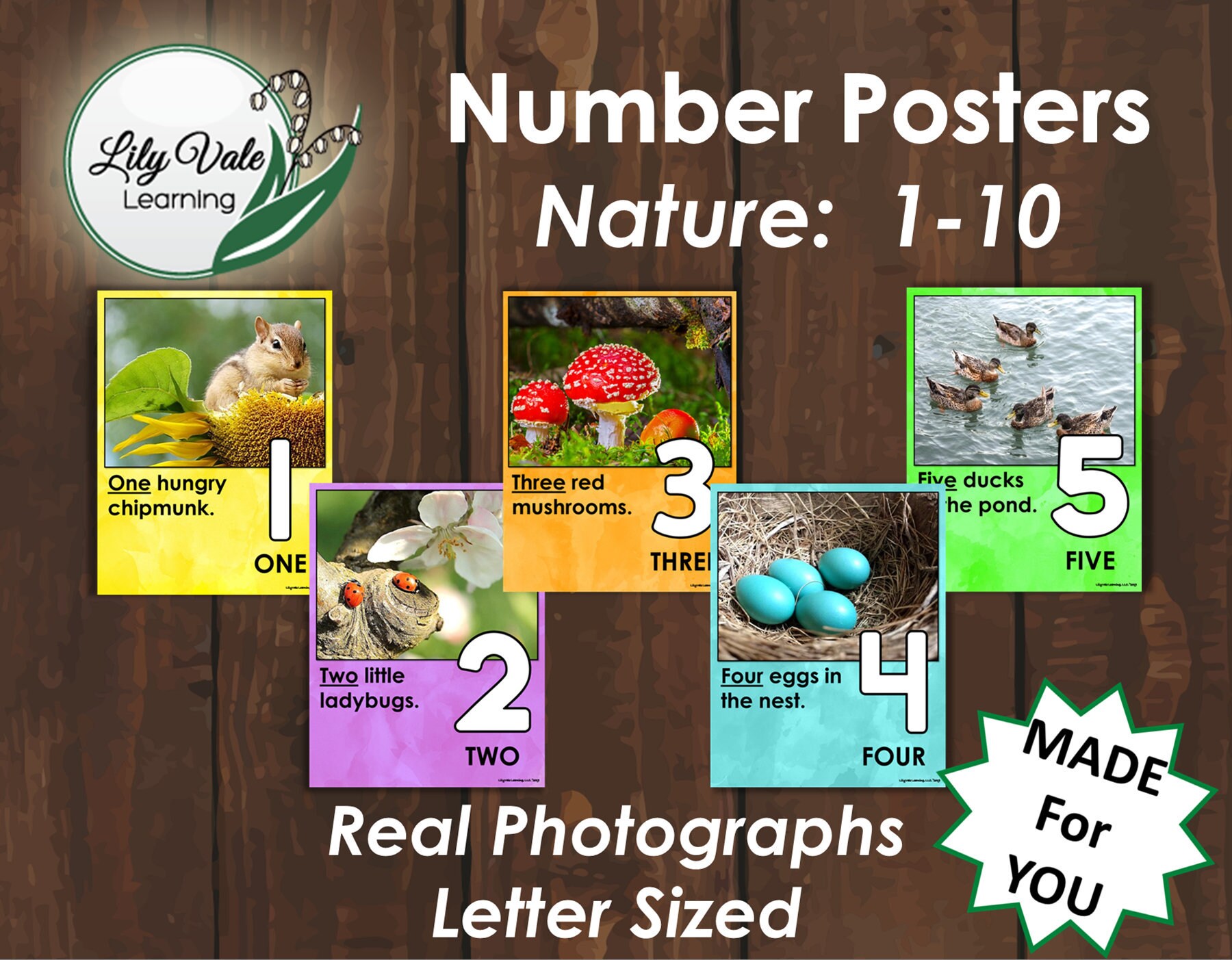 Number Poster, Number Learning, Preschool Math, Montessori Numbers ...