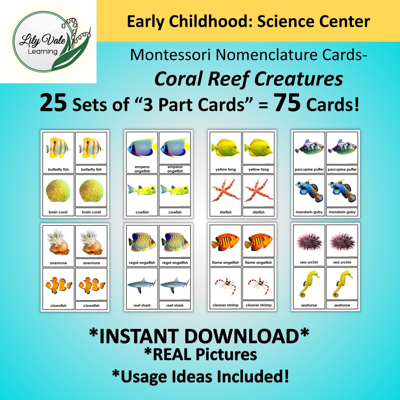 Printable Flashcards, Montessori Flashcards, Nomenclature Cards ...